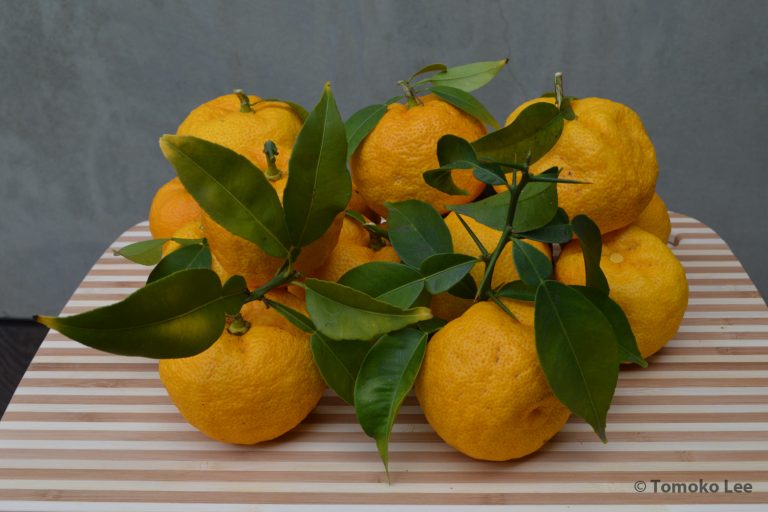 » Yuzu Ice Cream Recipe